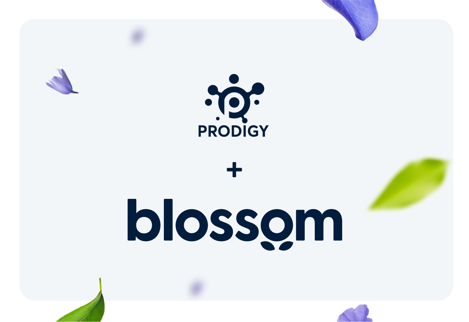 CUProdigy is now a part of Blossom